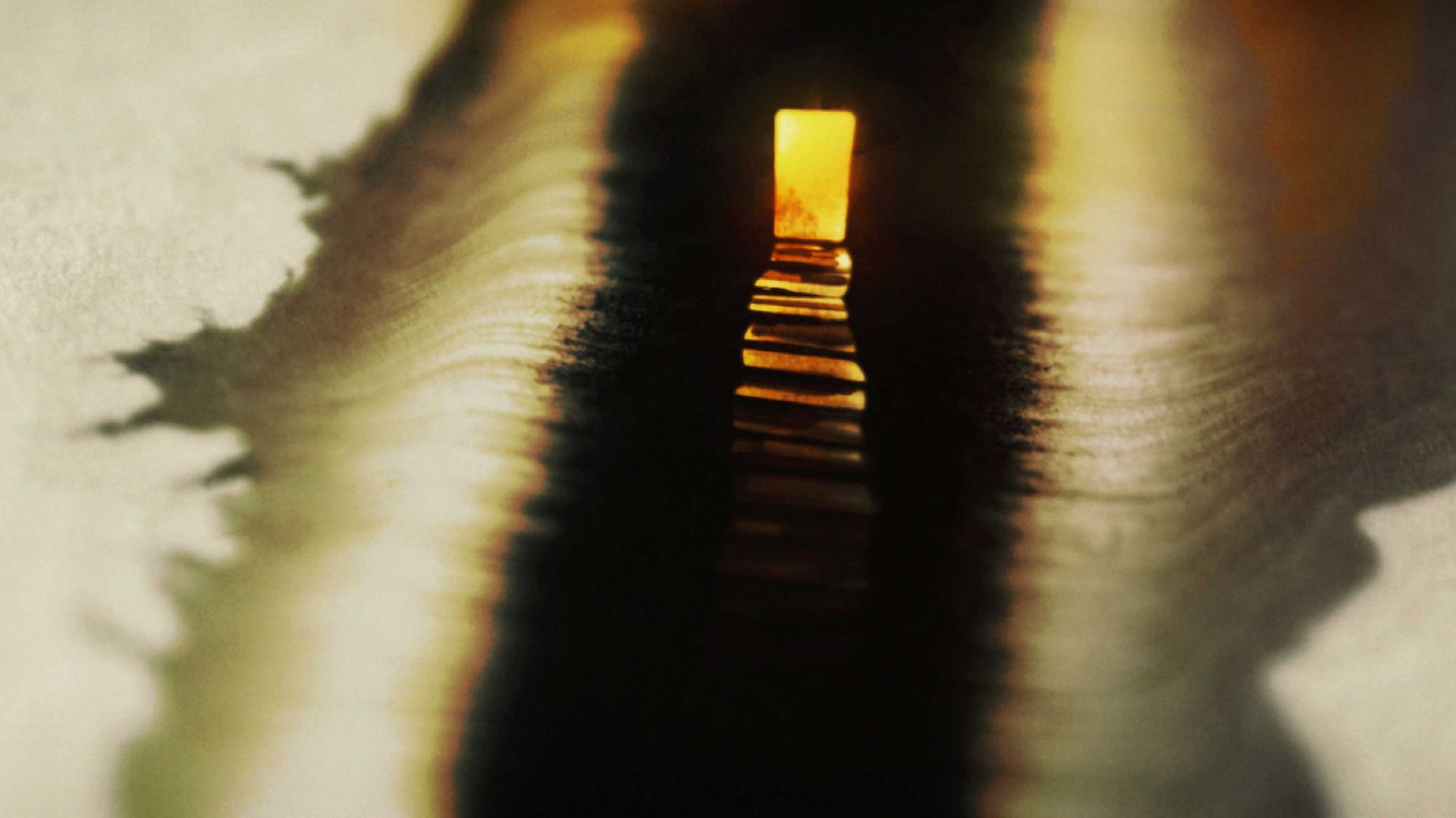 Imaginary Forces | What We Do Design Graphics System