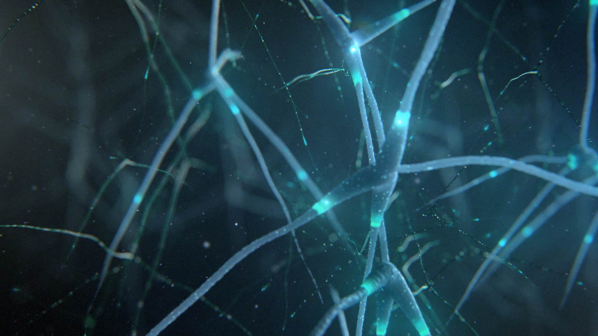 “Intensity” Campaign for Lexus IS by Imaginary Forces