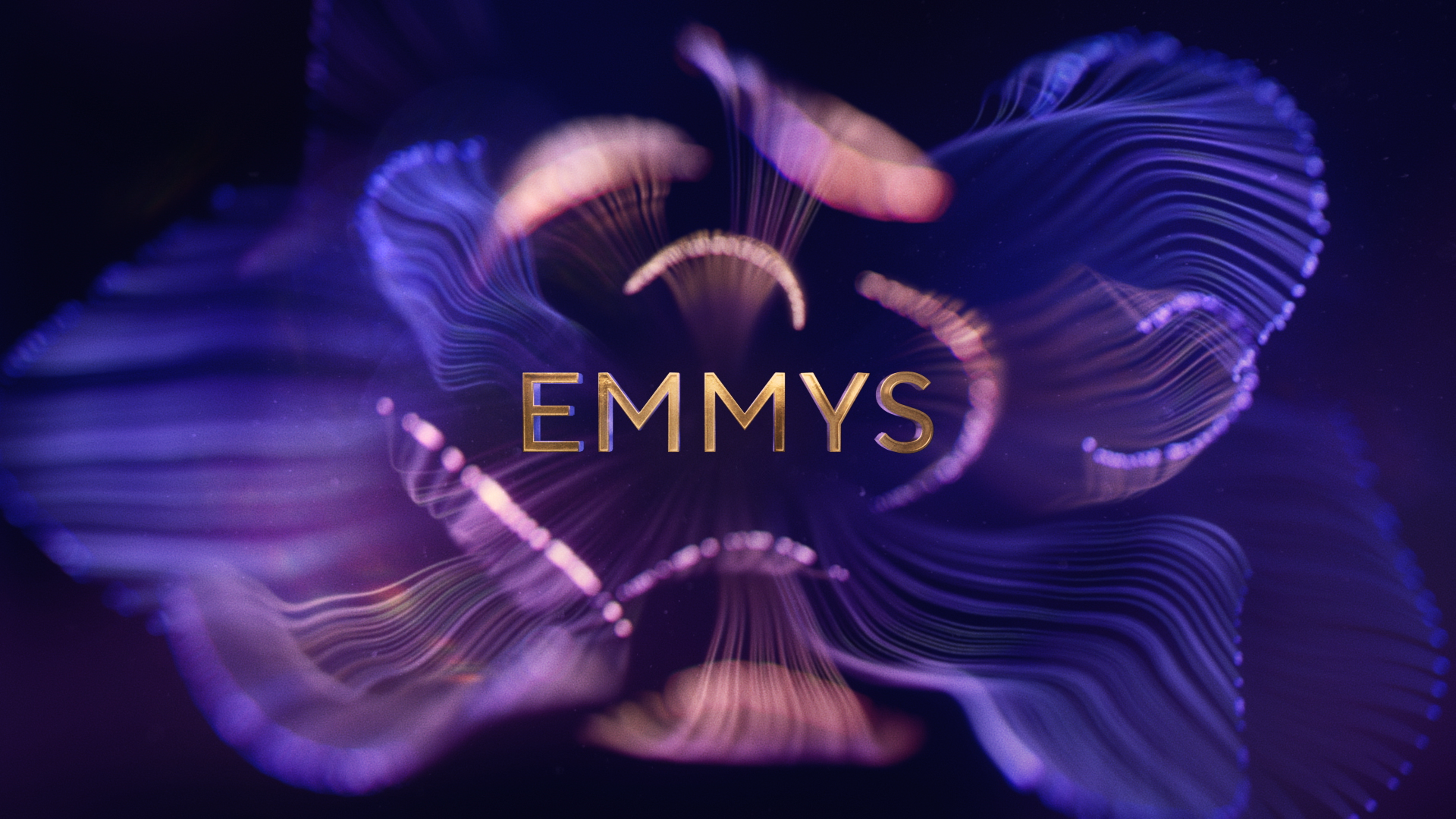 Imaginary Forces | 77th Primetime Emmy Awards